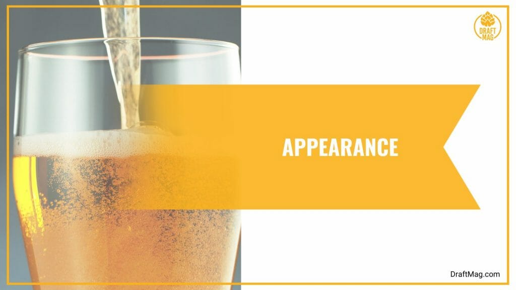 Goose Island Matilda Review: A Rich Belgian Ale That Grows on You