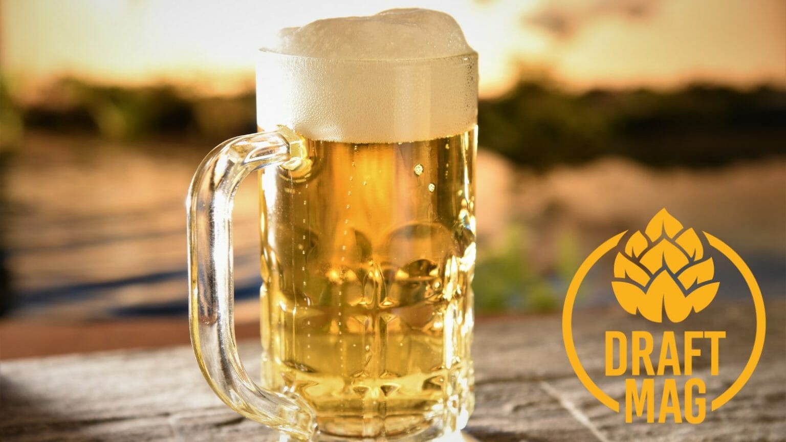 Fiddlehead IPA Review: Why You Can’t Get Enough Of This Vermont IPA