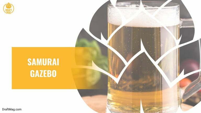 Rice Beer Brands: 13 of the Best-selling Rice Brews in the Market