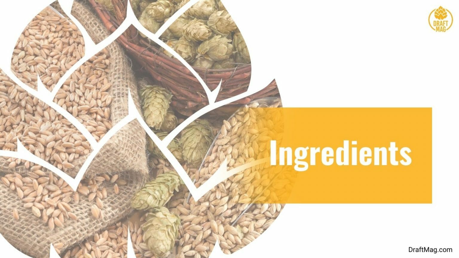 Shiner Weisse N Easy Beer Review: Does This Beer Rank High?