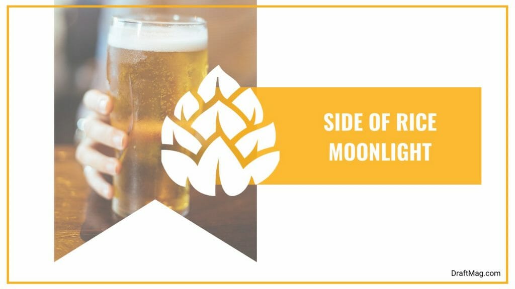 Rice Beer Brands: 13 of the Best-selling Rice Brews in the Market