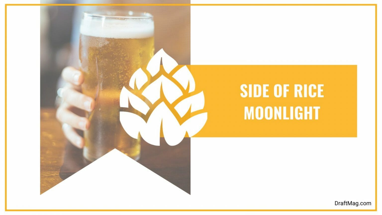 Rice Beer Brands: 13 of the Best-selling Rice Brews in the Market