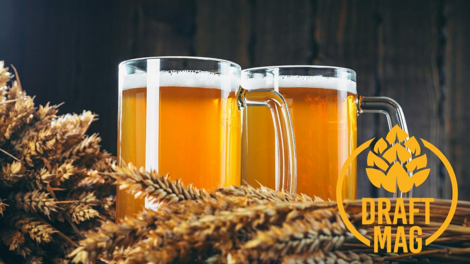 Red Stripe Beer Review: All You Need To Know About This Jamaican Lager