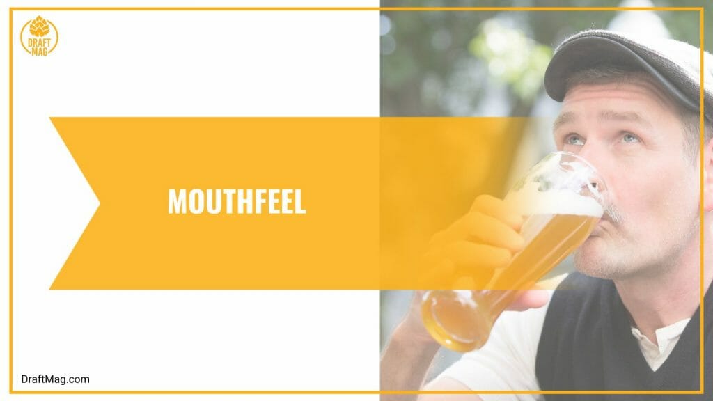 Bodhizafa IPA Review: An Award-winning Fruity and Hoppy IPA