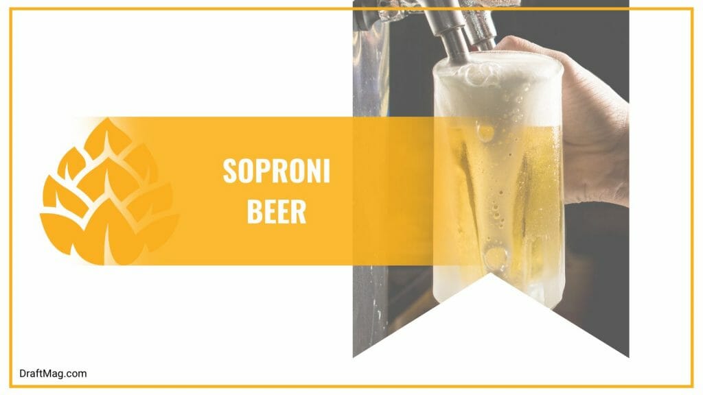 Hungarian Beer: The Best Beer Brands in Hungary To Enjoy