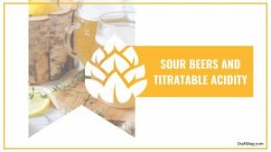 Is Beer Acidic? Understanding Beer pH and Its Importance