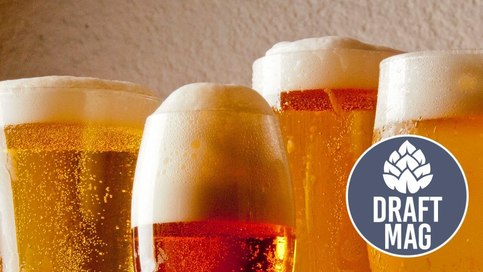 Famosa Beer Review: Classic Example of a Great American Lager