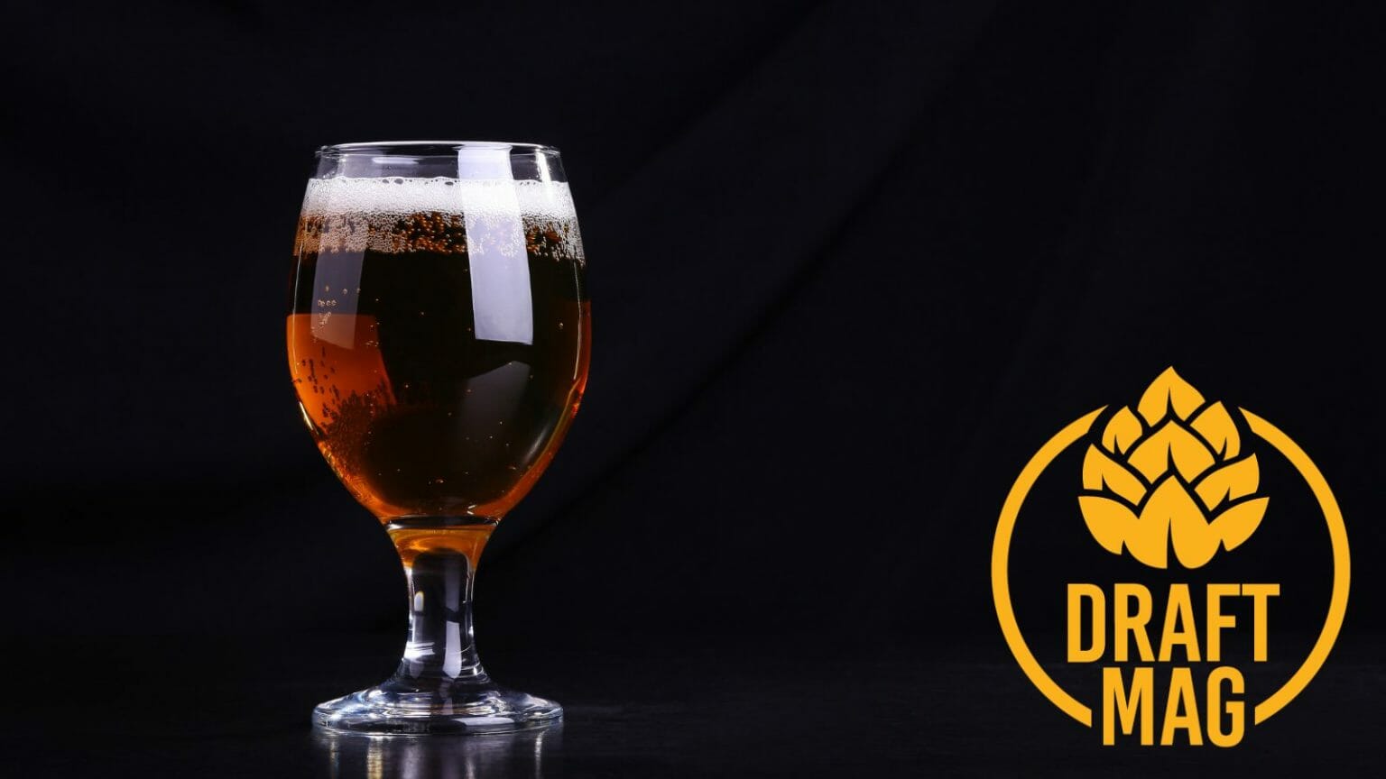 Modelo Chelada Review: Should You Try This Popular Specialty Beer?