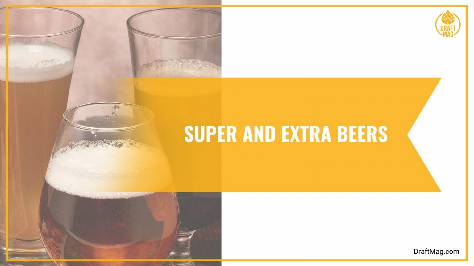 What Is Dry Beer? Some Essential Characteristics To Look Out For