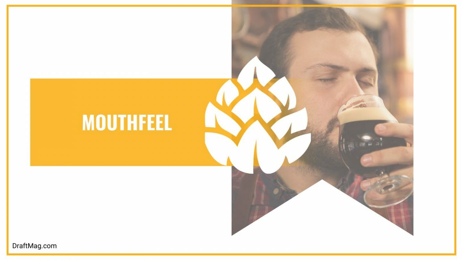 Mississippi Mud Beer Review: Add It to Your Drink List or Not?