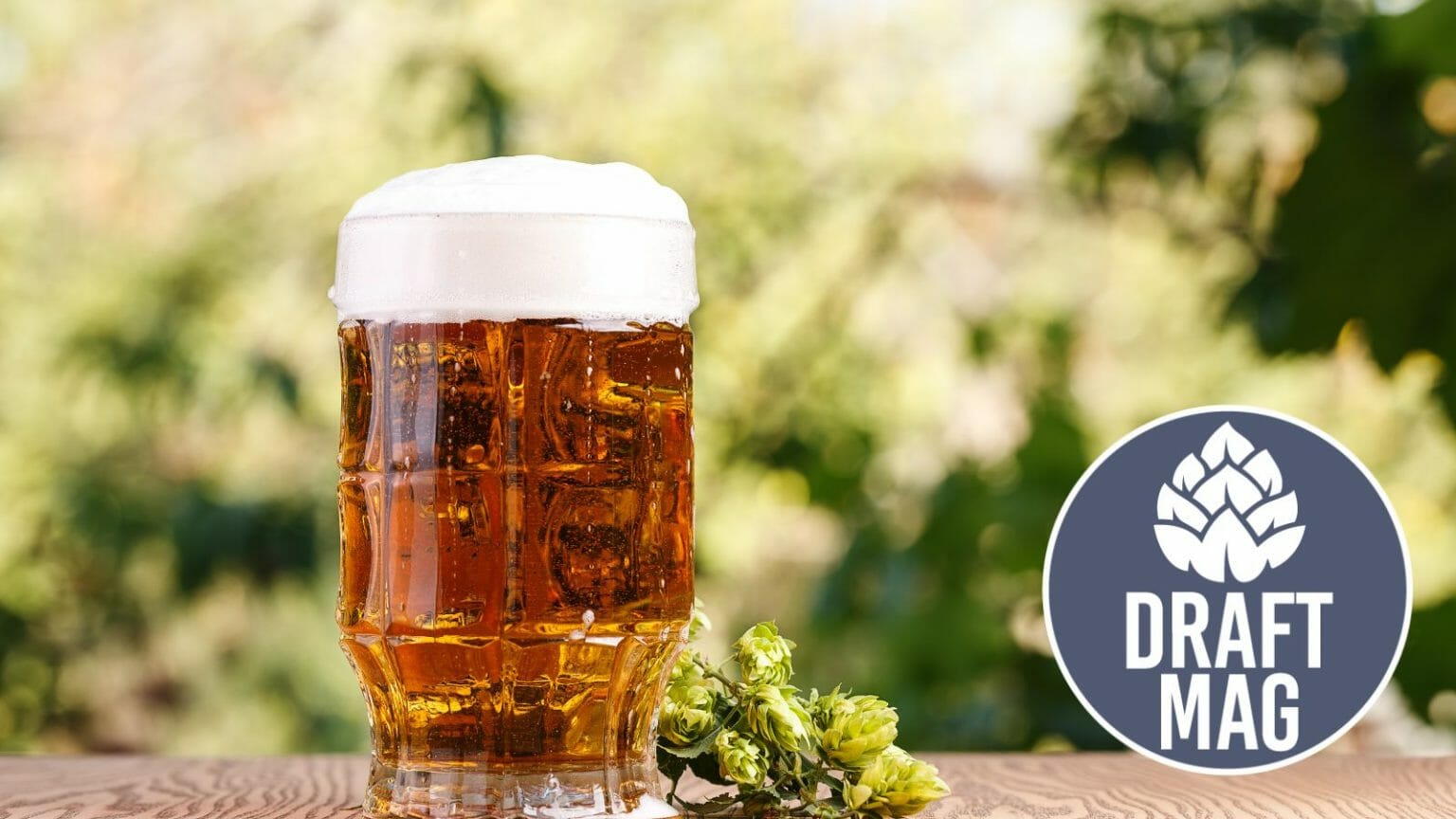 Kilt Lifter Beer Review: A Detailed Look at This Top Scottish Ale