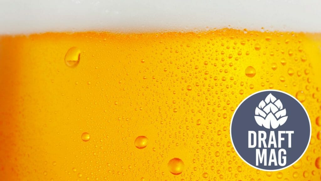 Bodhizafa IPA Review: An Award-winning Fruity and Hoppy IPA