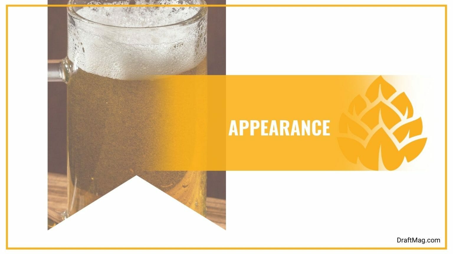 Tecate Light Review: Complete Details About This Light Mexican Beer