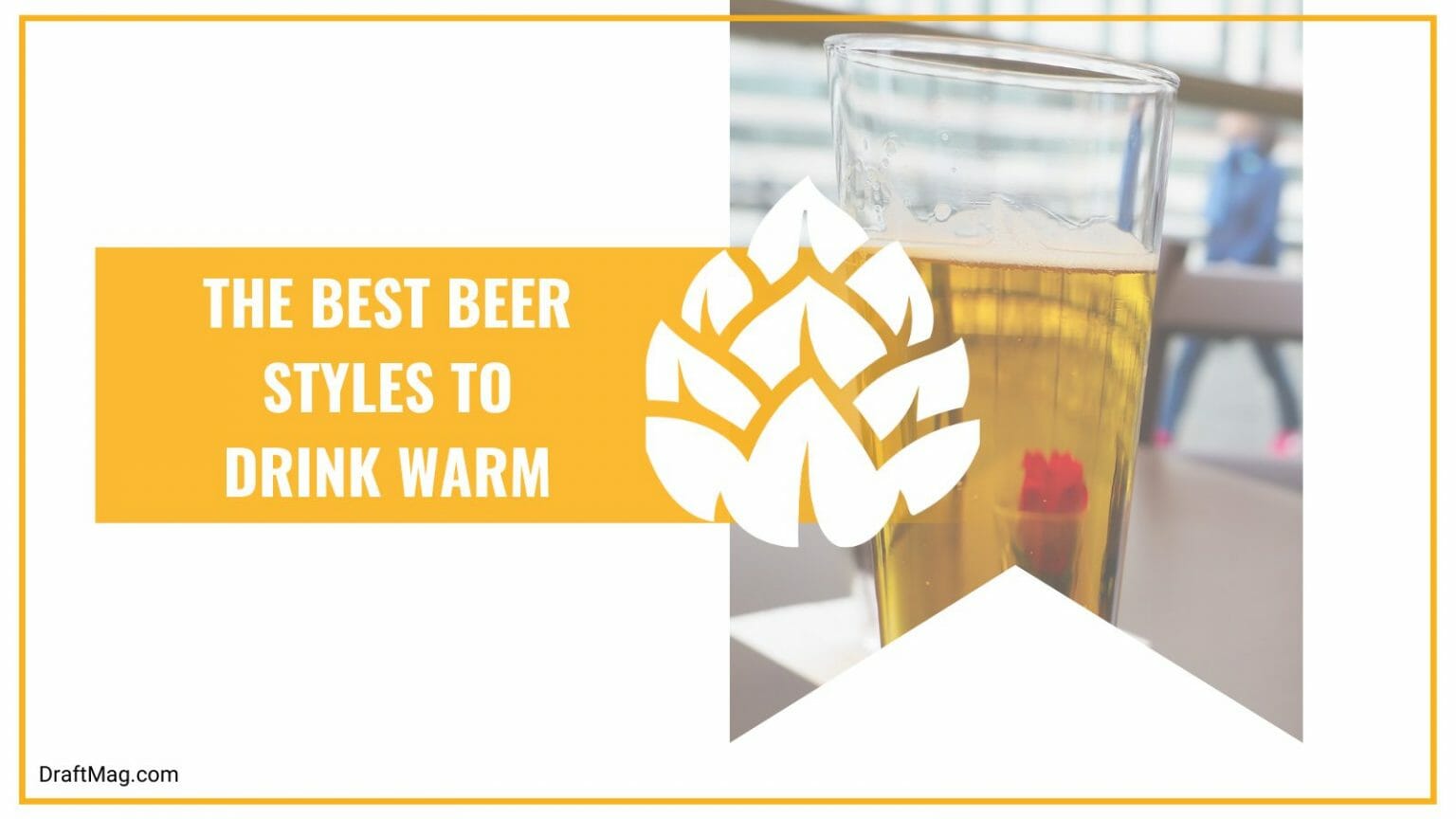 Warm Beer: A Complete Guide and History to Old Mulled Beer