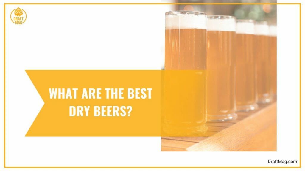 Dry Beer: A Complete Guide to the Latest Rage of Sugarless Beers