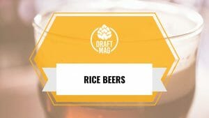 Rice Beer Brands: 13 of the Best-selling Rice Brews in the Market