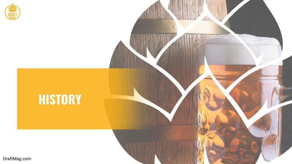 Hopadillo IPA Review: Try This Nicely Balanced American IPA