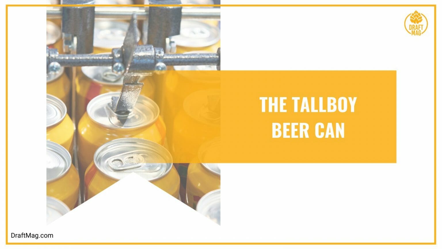 How Tall Is a Beer Can? A Definitive Guide to Brew Can Sizes