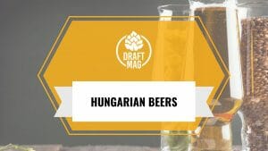 Hungarian Beer: The Best Beer Brands in Hungary To Enjoy