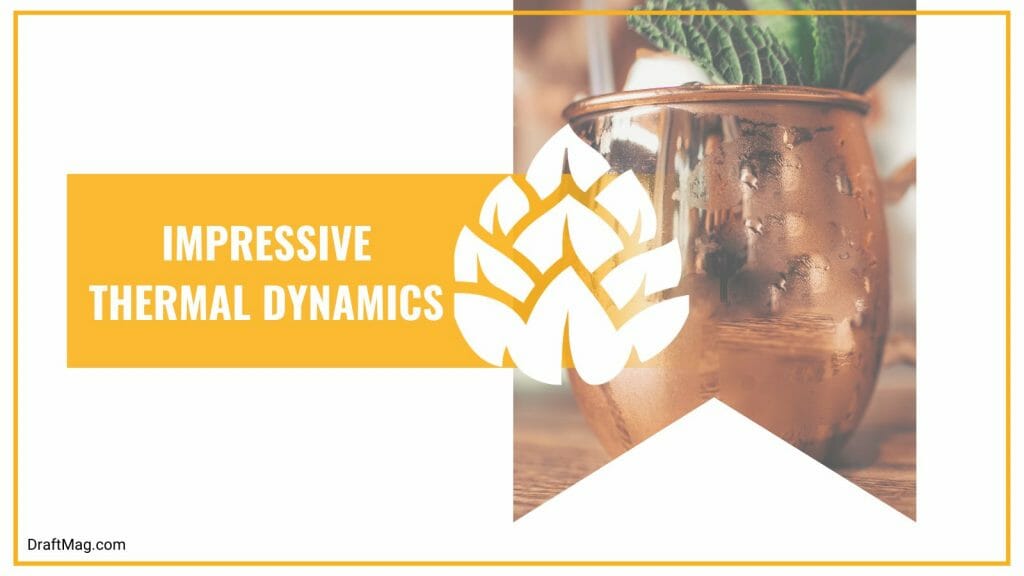 Beer in Copper Mug: Busting Brew Myths With the Help of Science