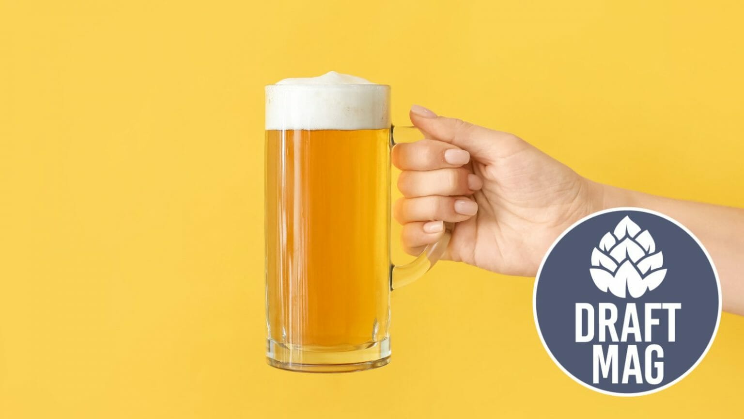 Goose Island 312 Review: A Bright and Crisp Wheat Beer for All