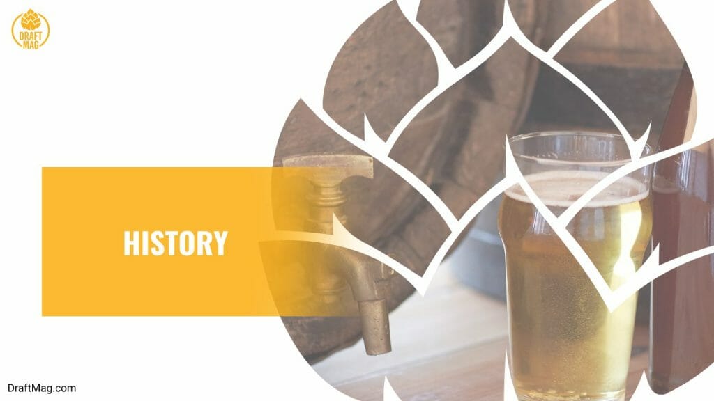 Red Dog Beer Review: One of The Best Brew for the Summer