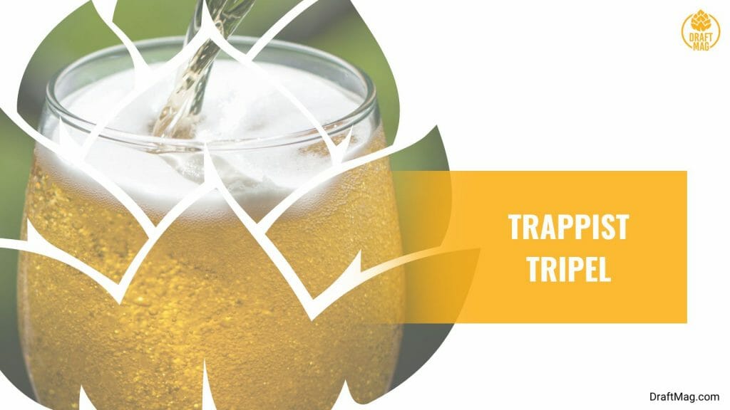 Strongest Belgian Beers: Best High ABV Brews From Belgium