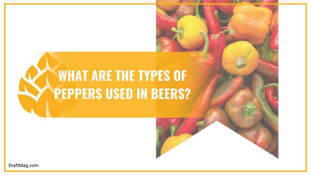 Pepper in Beer: Turn up the Heat in Your Cold Brews