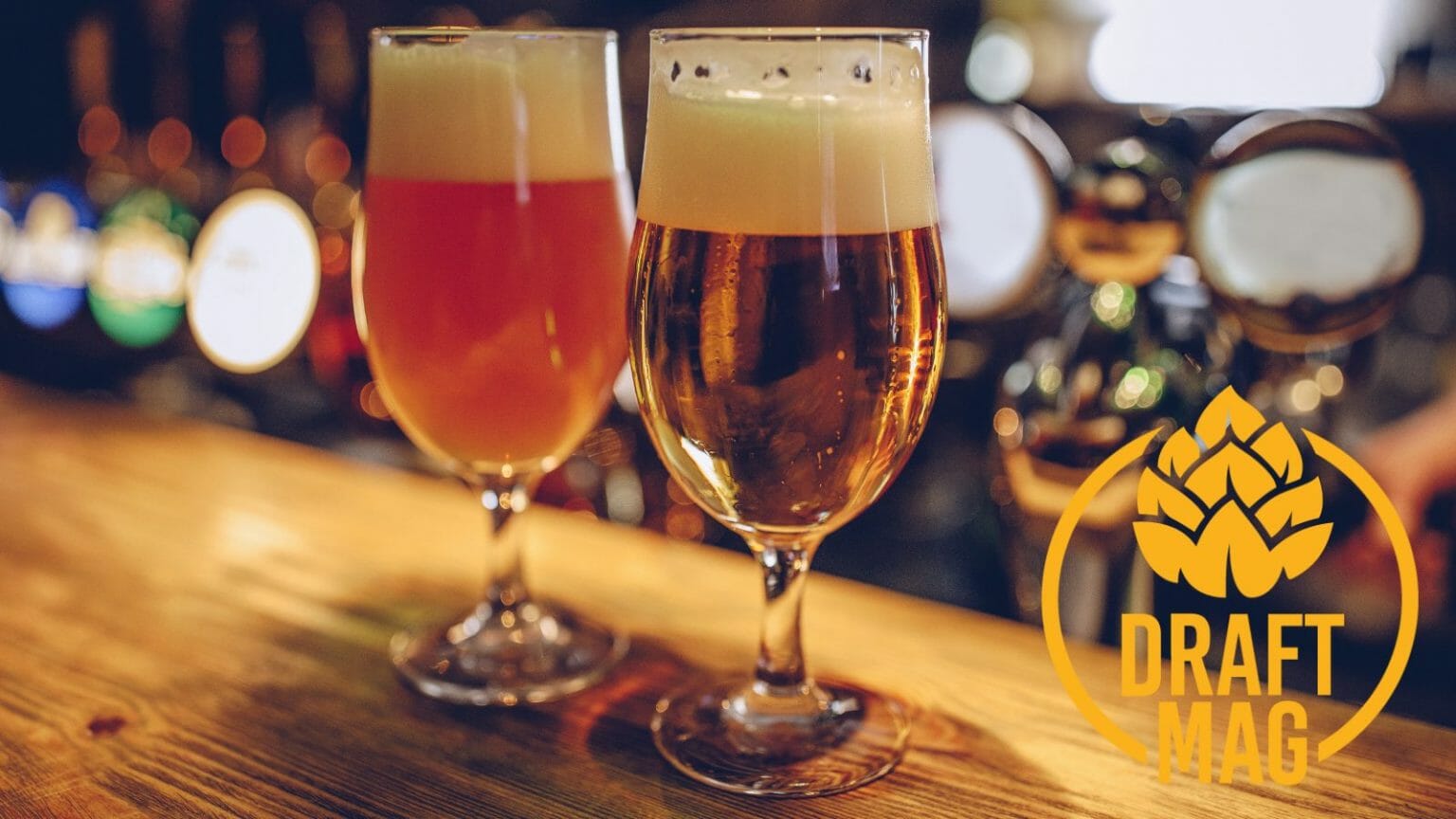 Zombie Dust Beer Review: Try Out This Intensely Hopped Pale Ale