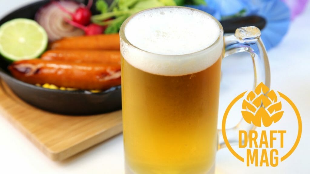 Terra Beer Review: A Close Look at This Top European Pale Lager