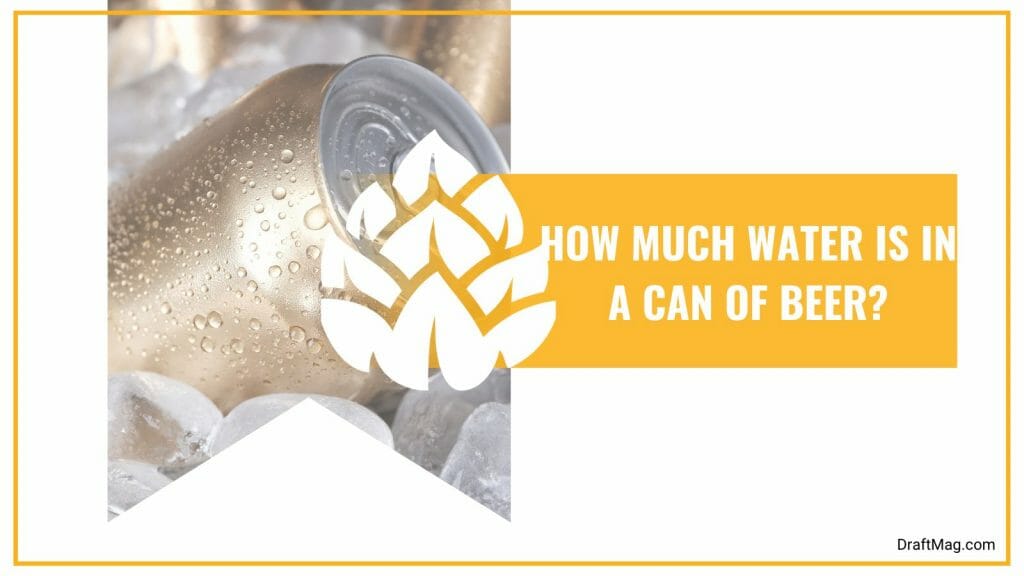 How Much Water Is in Beer? A Comprehensive Breakdown of Brew Liquids
