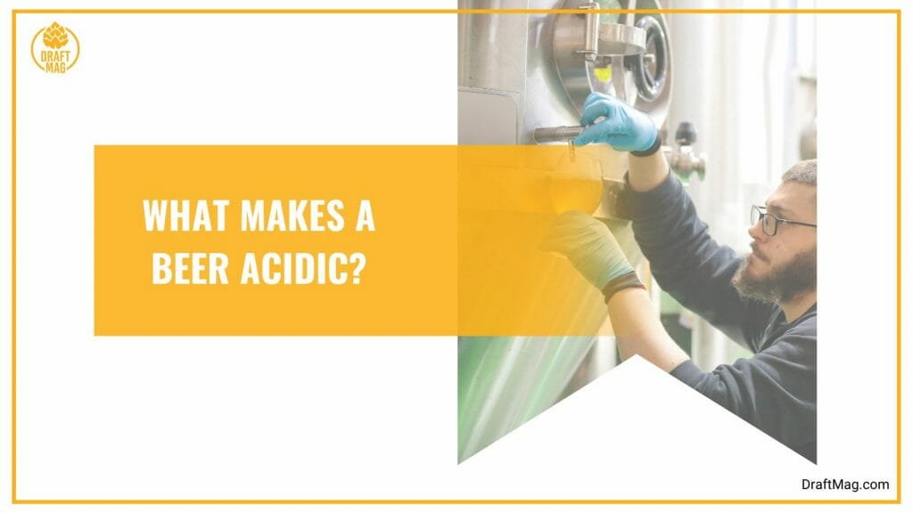 Is Beer Acidic? Understanding Beer pH and Its Importance