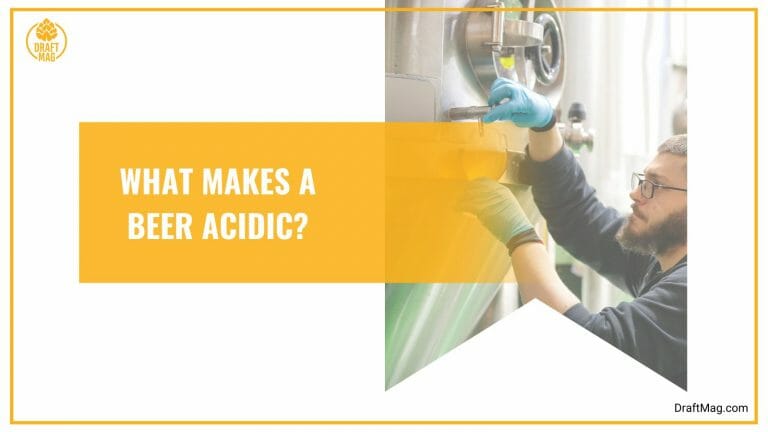 Is Beer Acidic? Understanding Beer pH and Its Importance