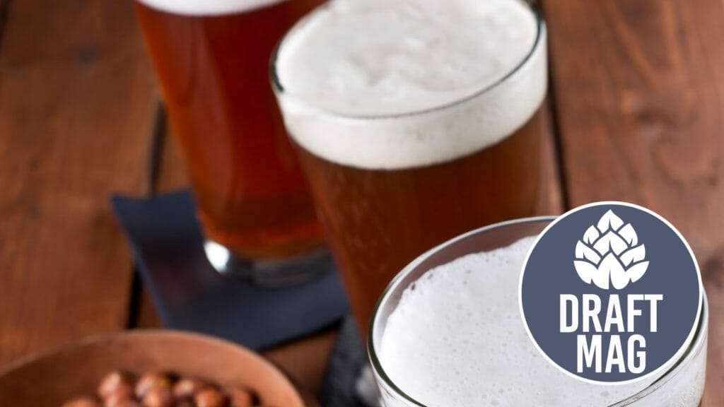 Big Wave Golden Ale Review: A Fruity and Hoppy Blonde Ale