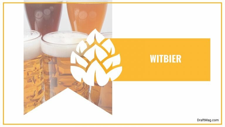 Dutch Beer: A Complete Guide To Traditional and New-age Beers