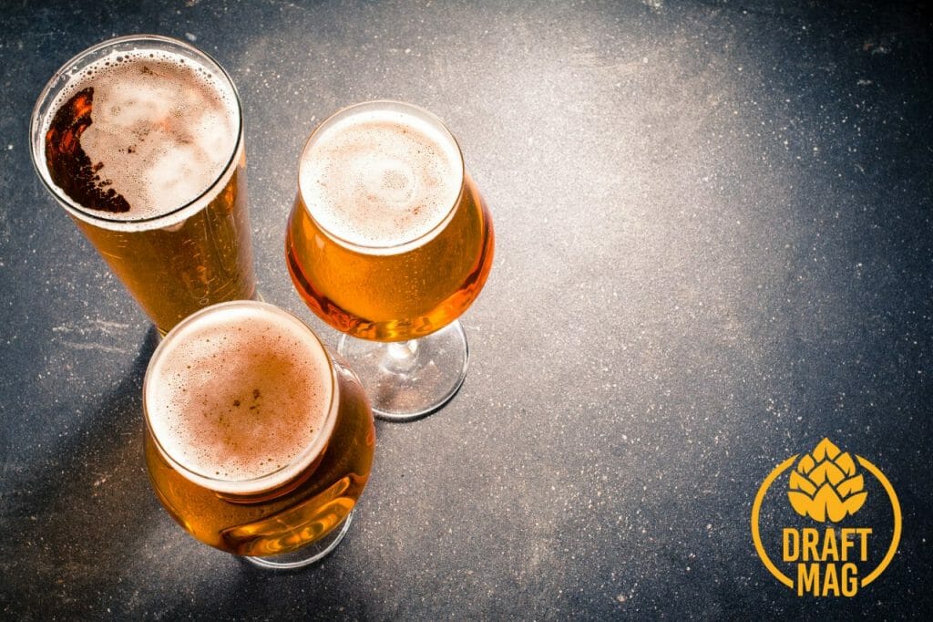 Terra Beer Review: A Close Look at This Top European Pale Lager