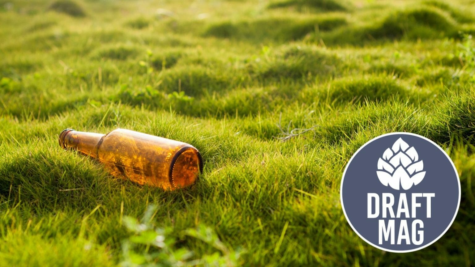 Rice Beer Brands: 13 of the Best-selling Rice Brews in the Market