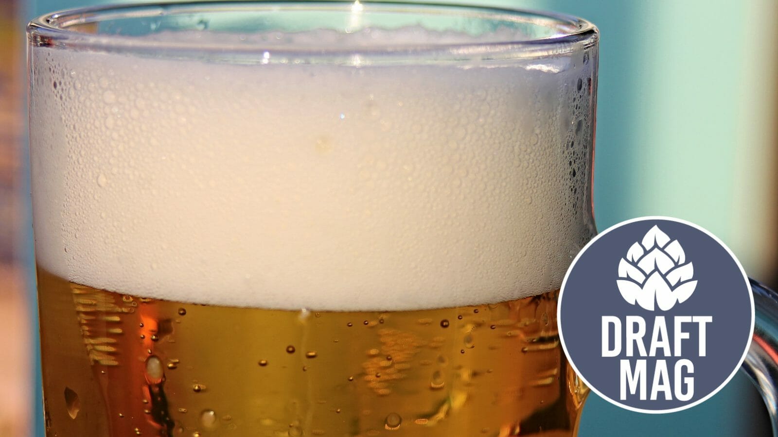 Classic City Lager Review: Clean and Crisp for Everyone