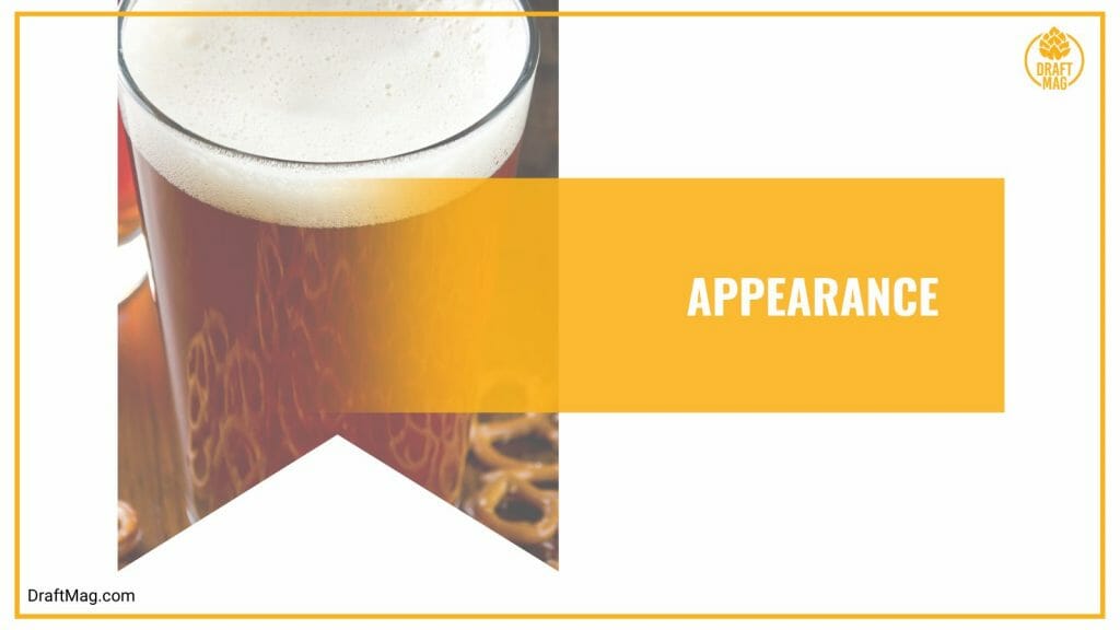 Lychee Beer Review: A Journey Into This Taiwanese Beer Brand