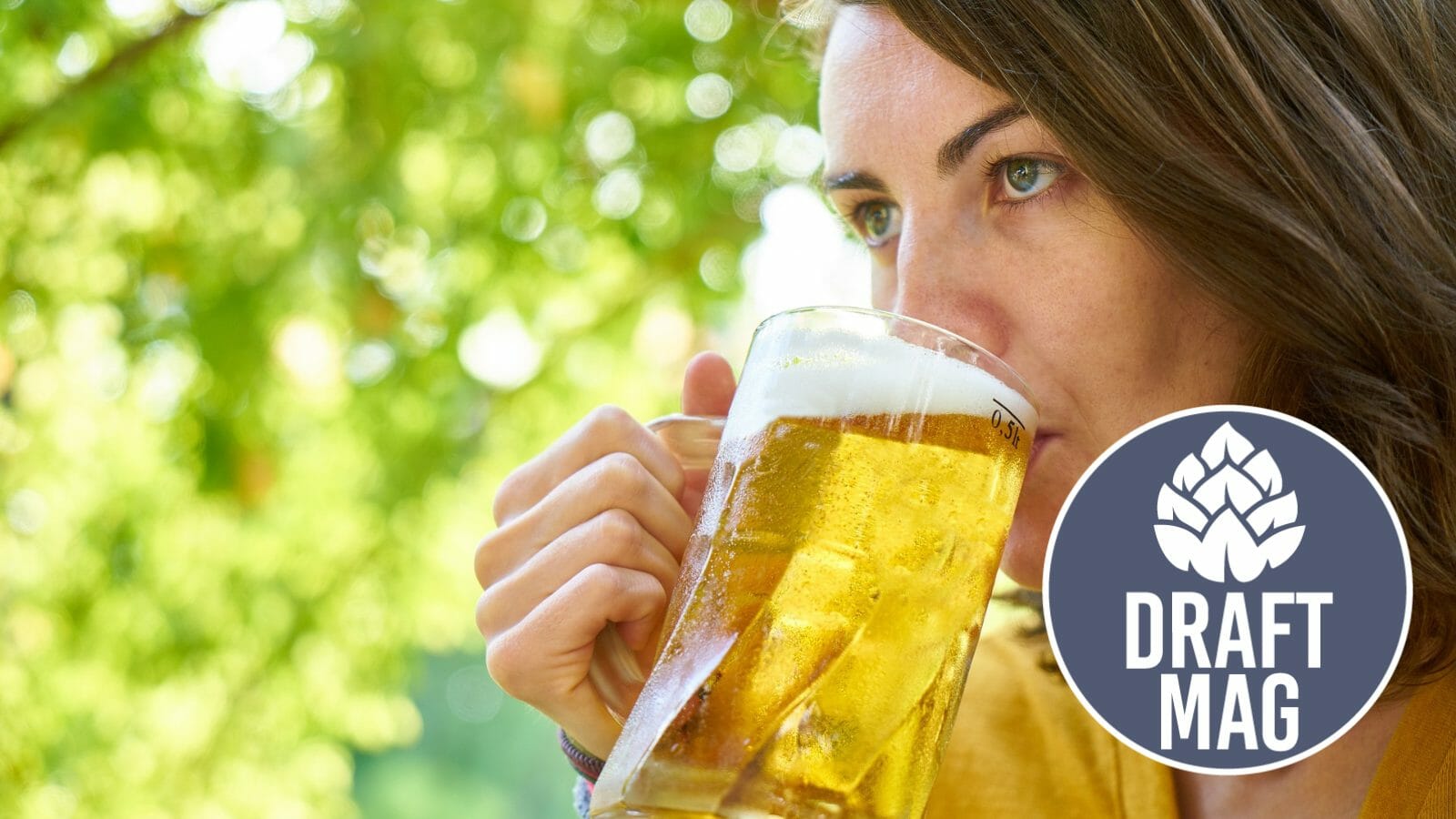 Alaskan Amber: A Complete Review of This German-style Alt-like Beer