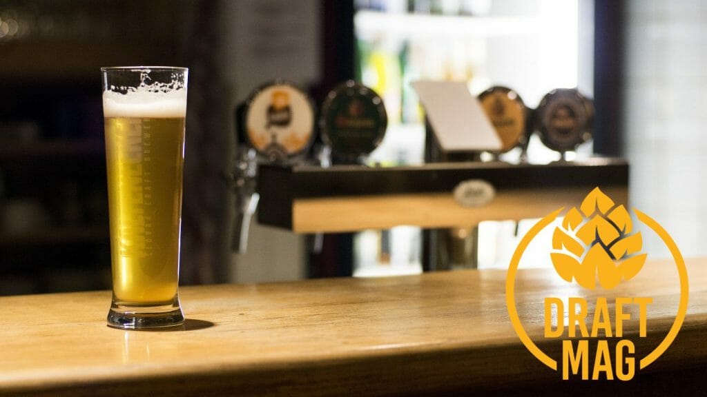 Bodhizafa IPA Review: An Award-winning Fruity and Hoppy IPA