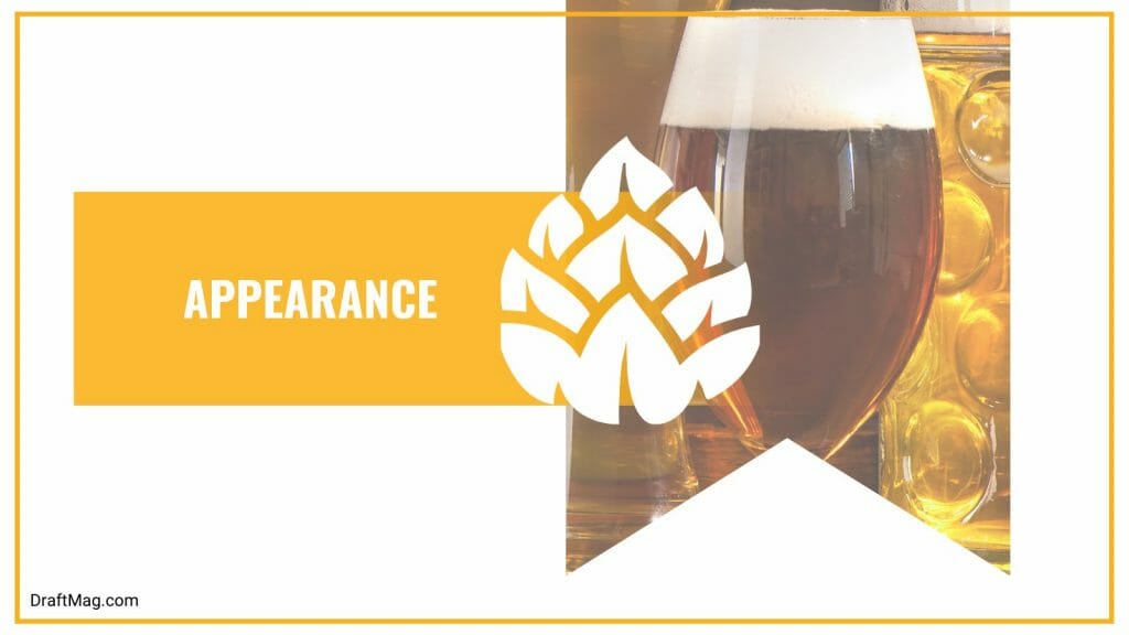 Kilt Lifter Beer Review: A Detailed Look at This Top Scottish Ale