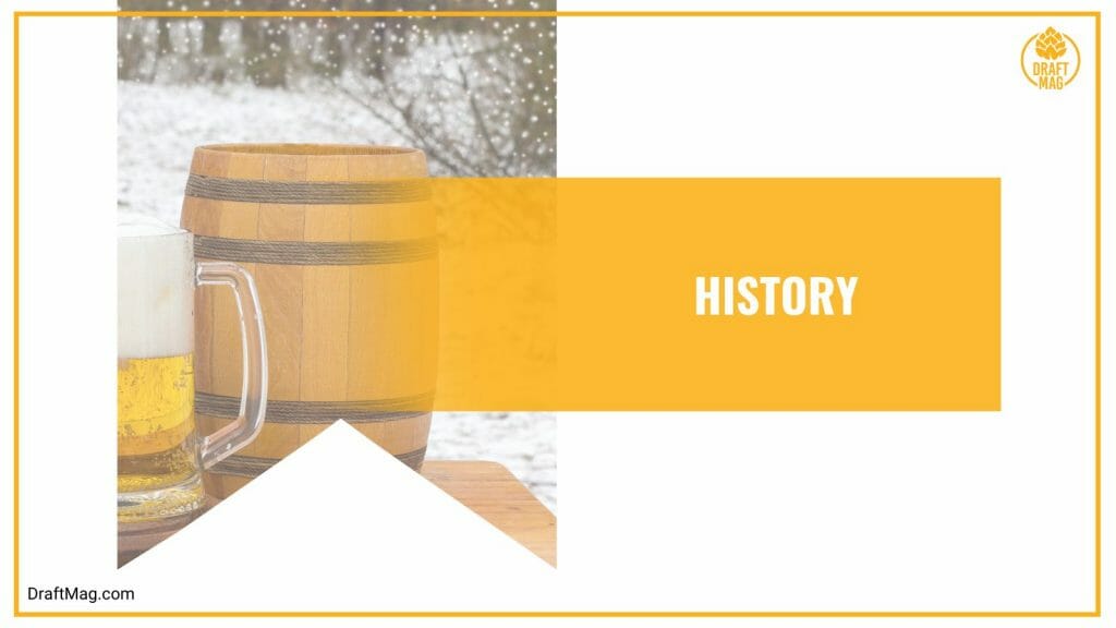 Bubble Stash IPA Review: A Great IPA for Beer Newbies