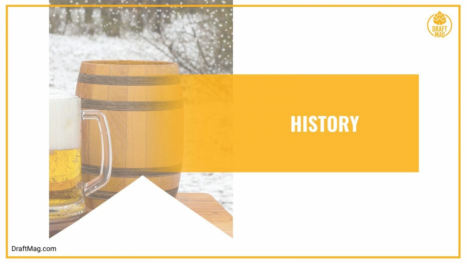 Bubble Stash IPA Review: A Great IPA for Beer Newbies