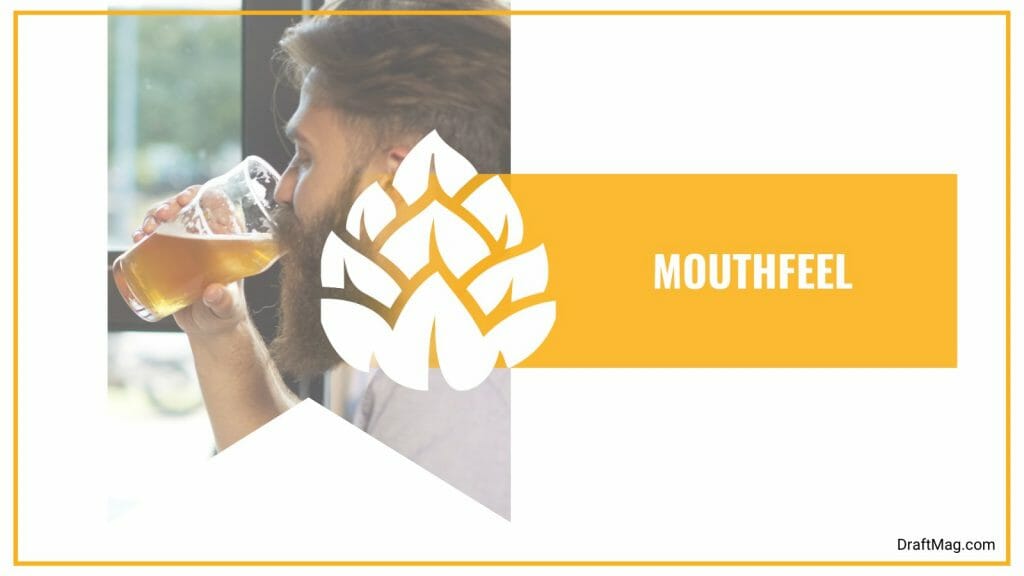 Goose Island 312 Review: A Bright and Crisp Wheat Beer for All
