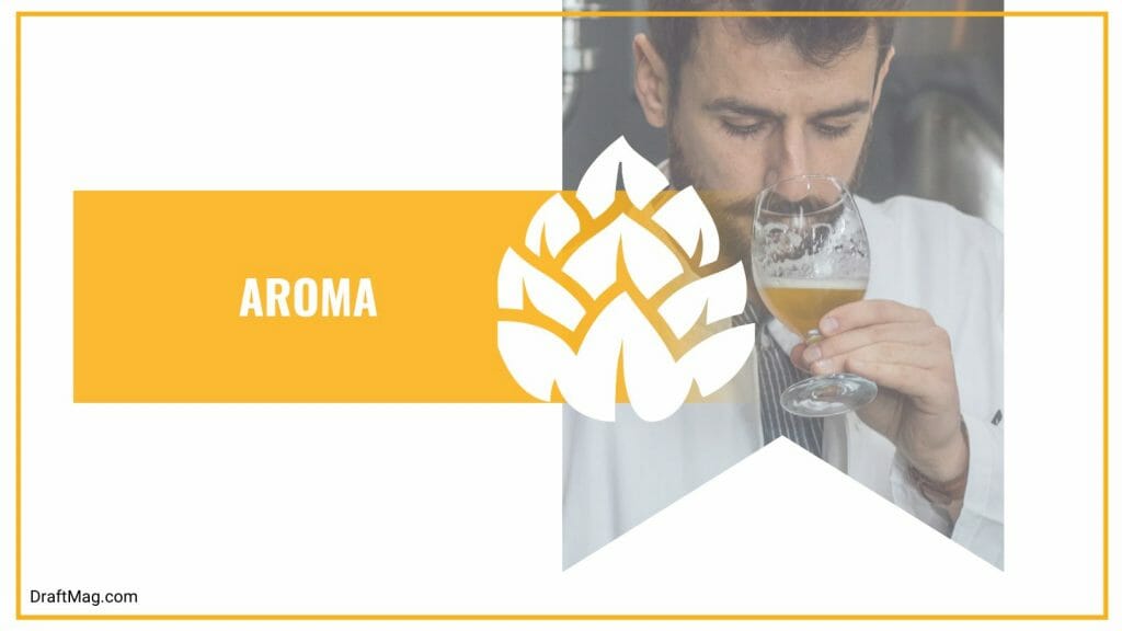 Rogue Dead Guy Ale Review: German Maibock With Unique Yeast