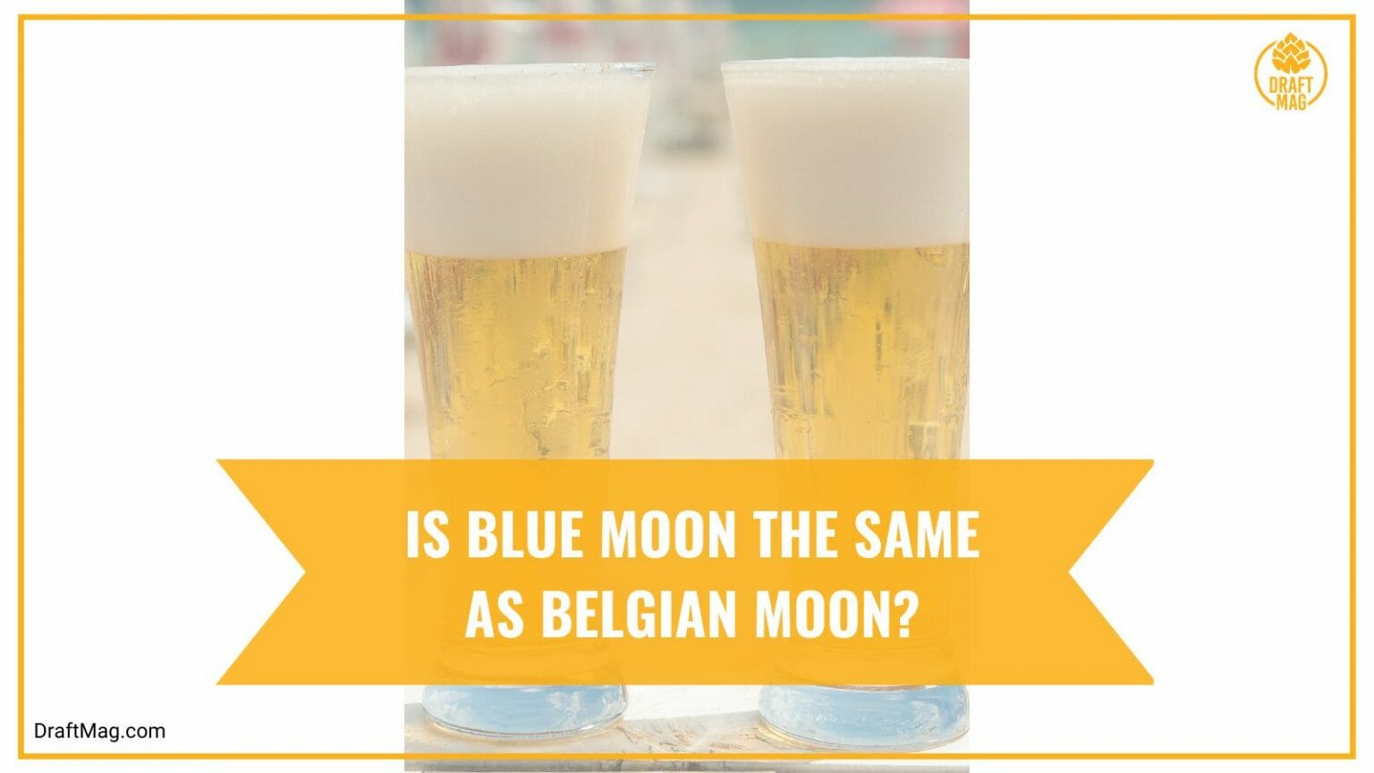 What Does Blue Moon Taste Like: Get to Know The Citrus-Flavored Beer