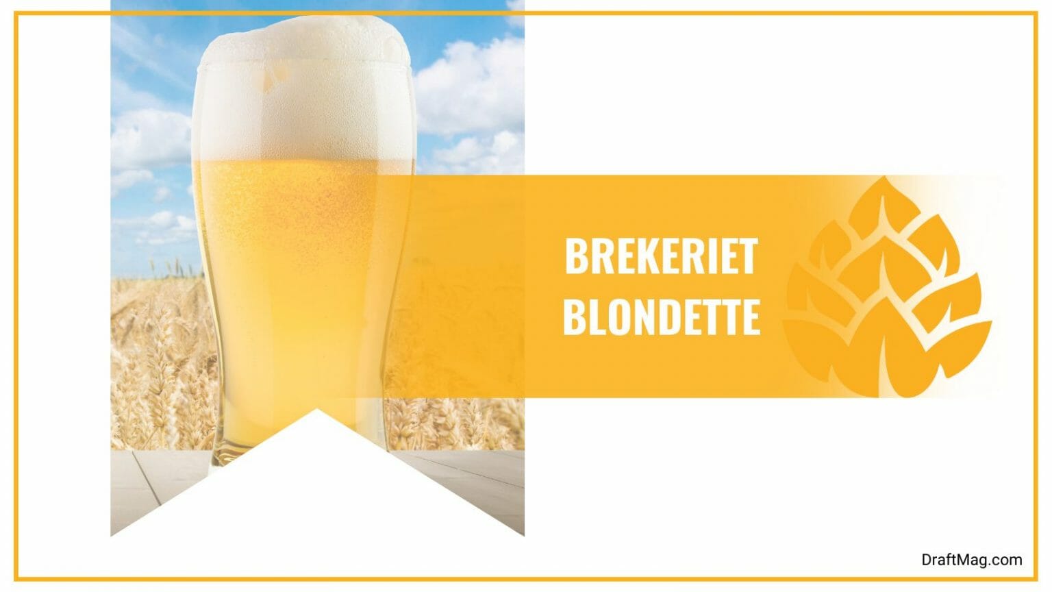 Swedish Beer: Guide to the Country's Rich Brewing Tradition