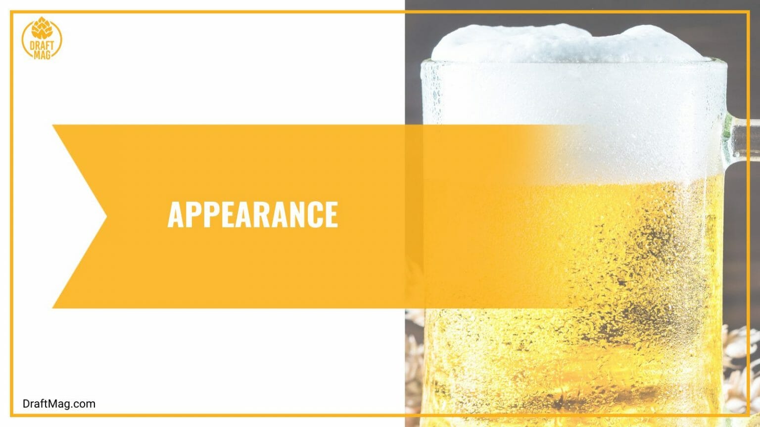 Love Street Beer Review: Should This Brew Be On Your To-drink List?