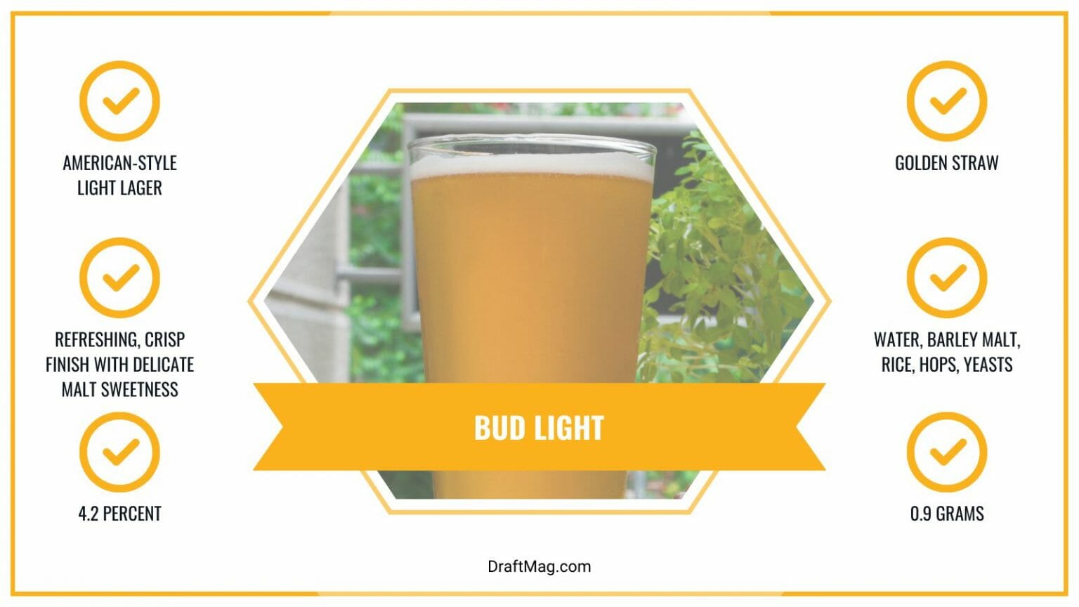 Bud Light vs Budweiser: How Do America’s Favorite Beers Compare